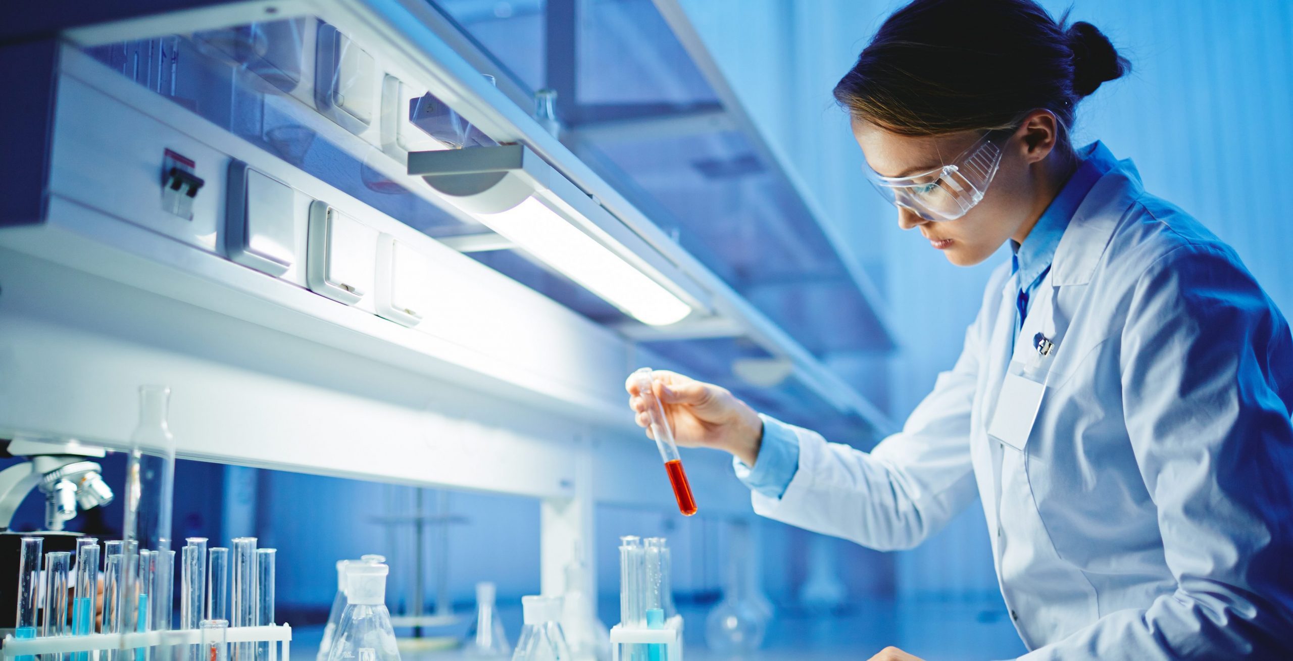 Carbokem – ácidos carboxílicos