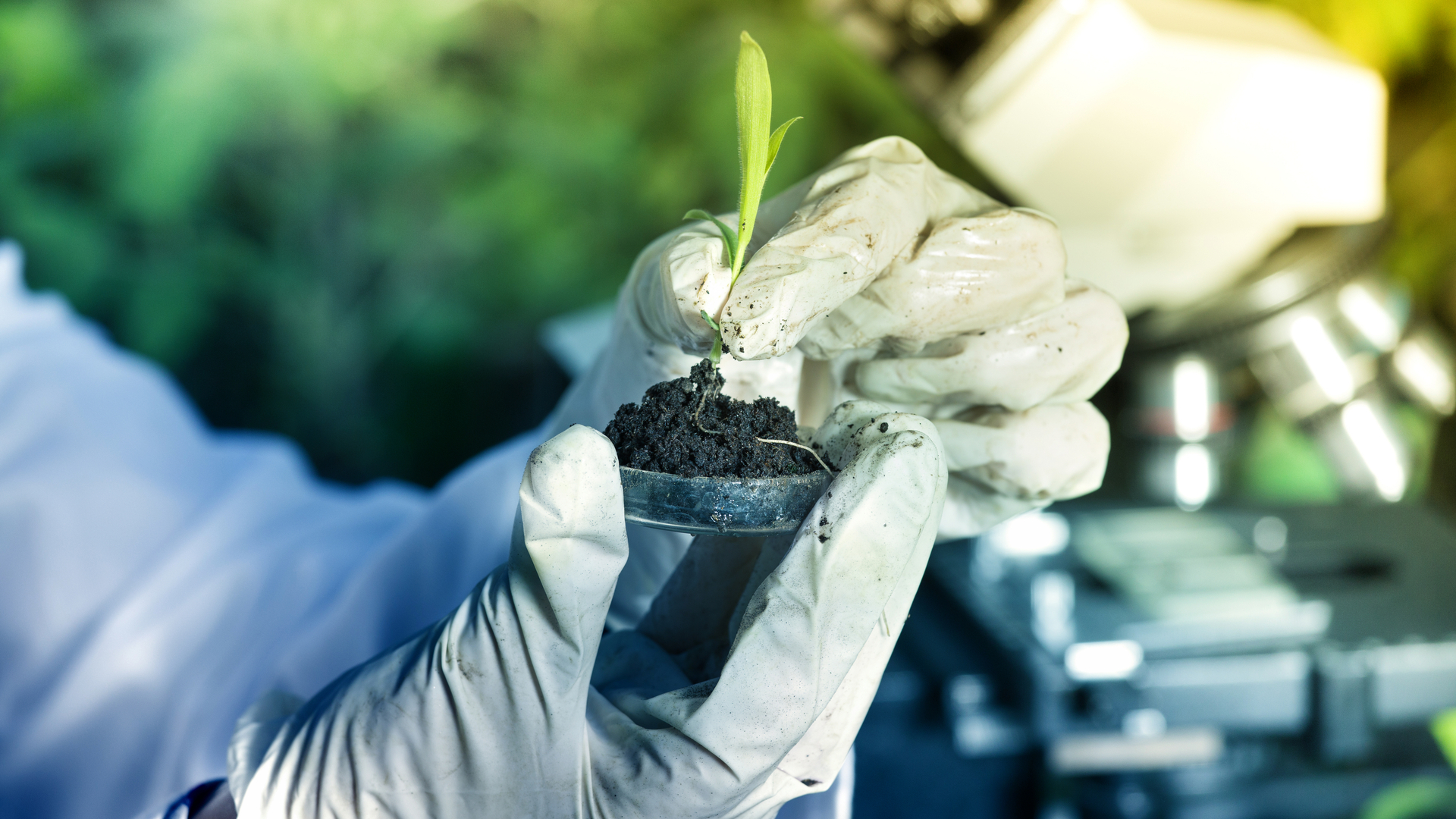 Carbokem – ácidos carboxílicos